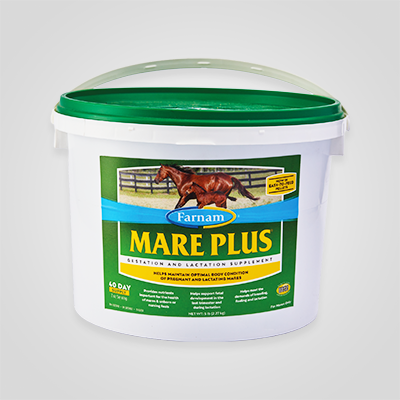 MARE PLUS® - Suply Equinos